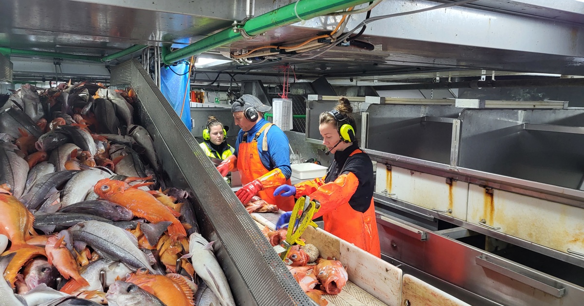 Aldrei eins snöggir í rallinu „Veðurguðirnir okkur mjög hliðhollir” - VSV